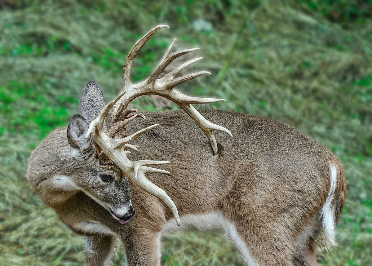 Respect Yourself – Bill Draper Photography