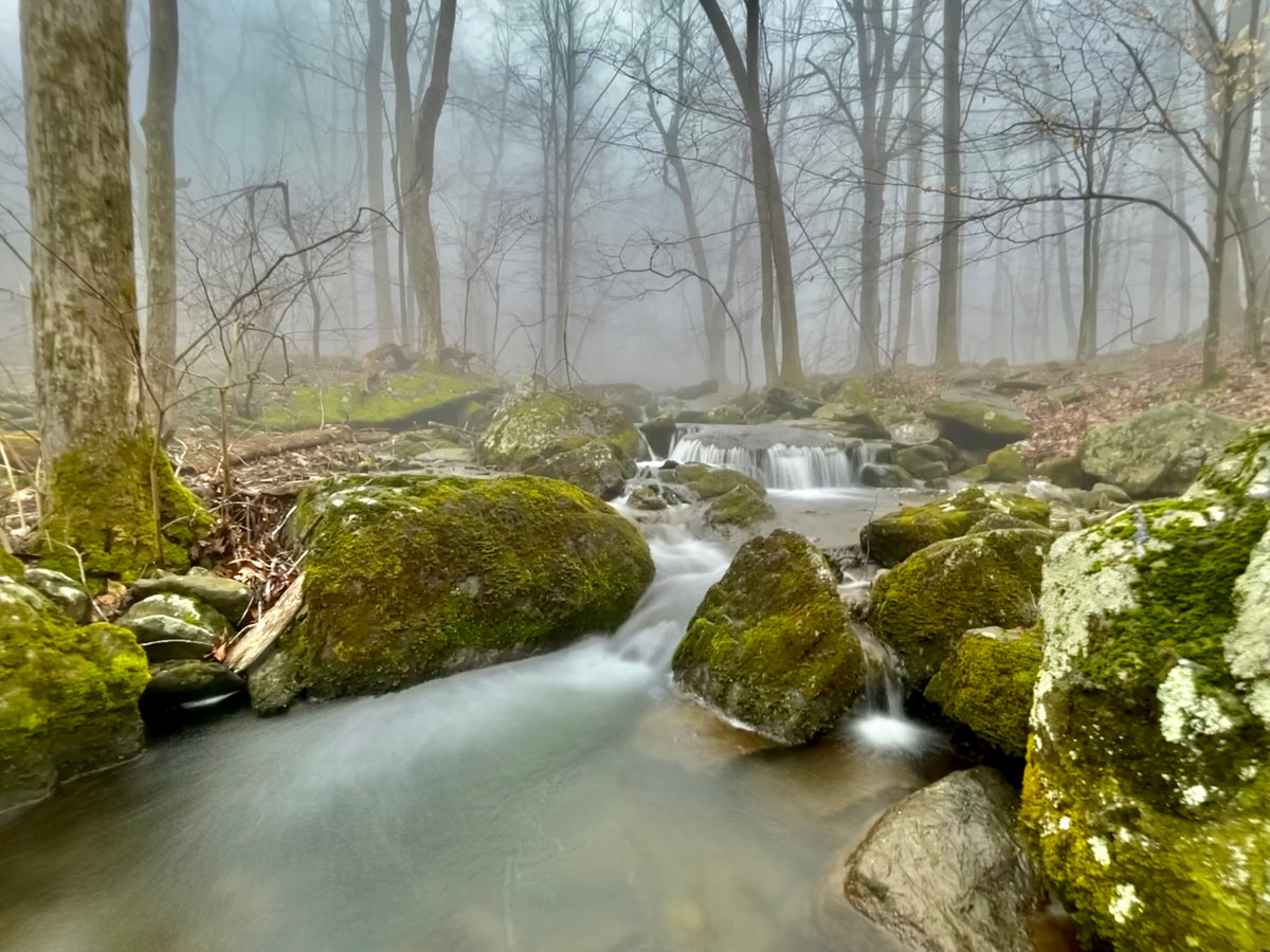 Misty Water – Bill Draper Photography